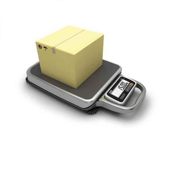 Platfrom Scale | Portable Scale | CAS PB - Weighing Scale, Machine UAE ...